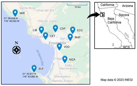 Alejandro Angulo Ojeda