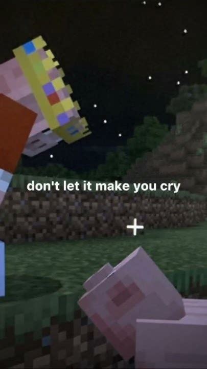 Technoblade Dont Let It Make You Cry Youtube
