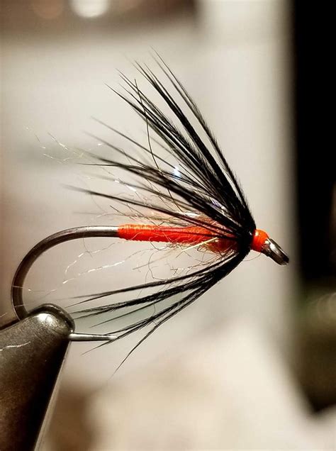 Spider Fly Pattern Pattern Inspiration Daily