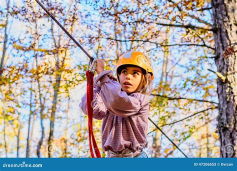 Going On Zip Line Stock Image Image Of Tour Courage 47206653
