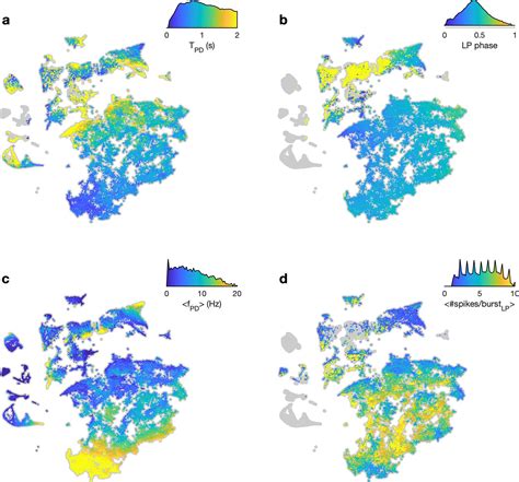 figures and data in mapping circuit dynamics during function and