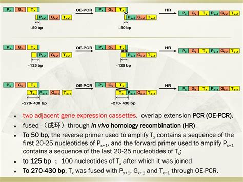 Ppt Dna Assembler Powerpoint Presentation Free Download Id5663498