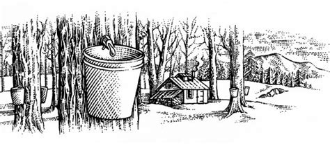 Hearth Cooking Maple Sugaring Time The Monadnock Center For History And Culturethe Monadnock