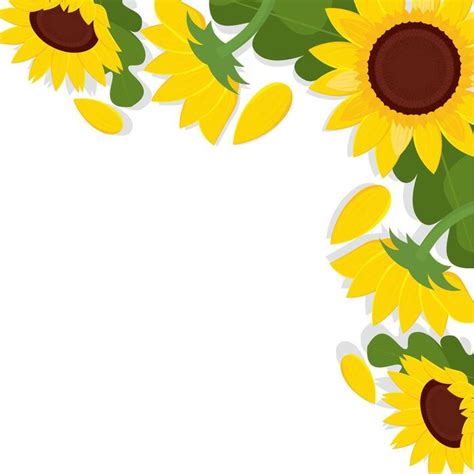 Sunflower Border Vector Art Icons And Graphics For Free Download