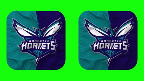 Charlotte Hornets Logo Wallpaper