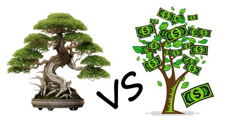 Bonsai Tree Vs Money Tree At Robbin Wood Blog
