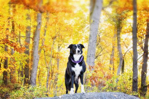 Lynette Smith Photography