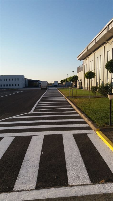 Servicii De Marcaj Florimpextim