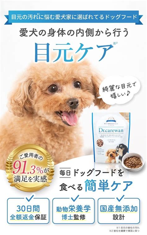 【公式】drケアワン Lp デザイン ペットの健康 ペット