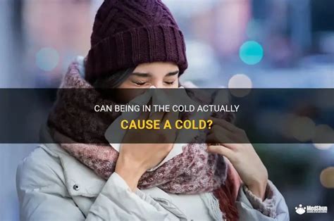 Can Being In The Cold Actually Cause A Cold Medshun