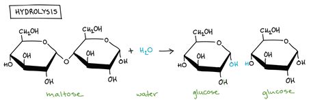 Chemical Transformations Hydrolysis Vs Dehydration
