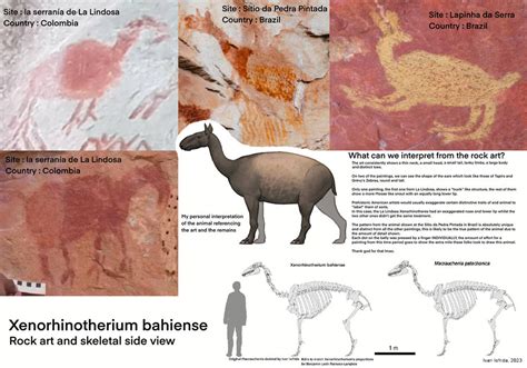 Xenorhinotherium Bahiense Reference Panel By Benleon Paleoartist On