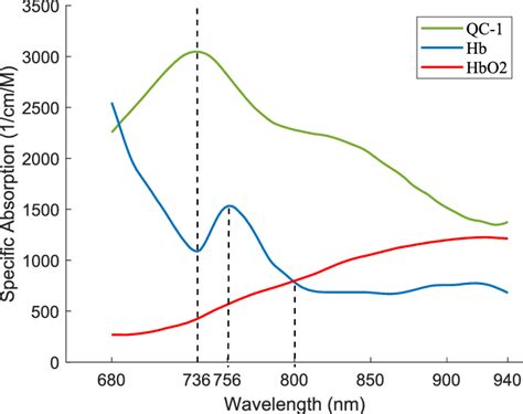 Absorption Spectra Of Oxyhemoglobin Hbo2 Deoxyhemoglobin Hb And Of