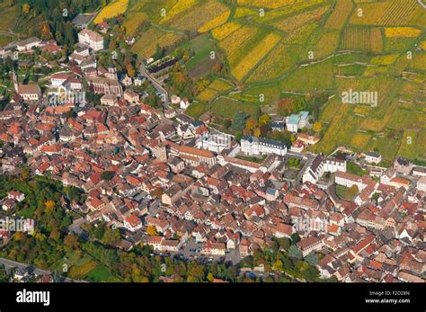 France Haut Rhin 68 Wines Road Village Of Ribeauville Vineyards