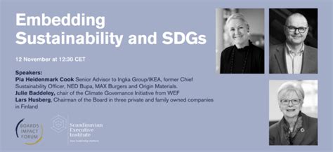 Webinar Recap Embedding Sustainability And Sdgs Boards Impact Forum