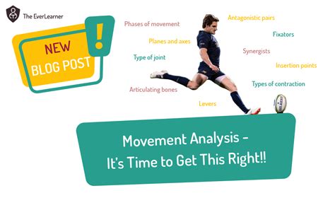 Movement Analysis Researchers Develop New Ai Tool For Advanced Animal