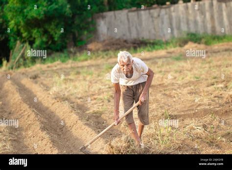 Person Working In A Field