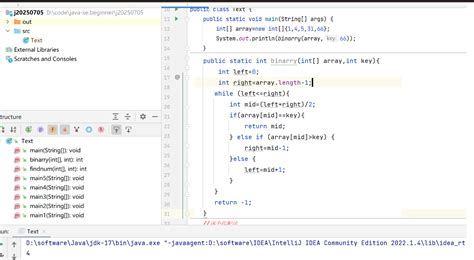 Java Se 数组 Csdn博客
