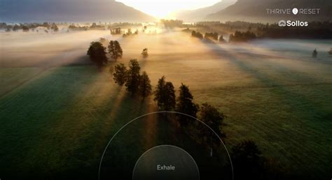 Unlock The Stress Reducing Power Of Music With New Thrive Resets