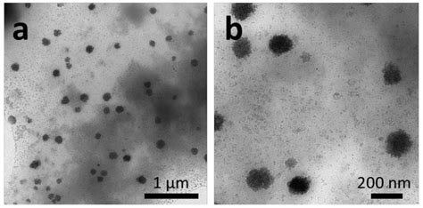 Molecules Free Full Text Evaluation Of Self Assembly Pathways To