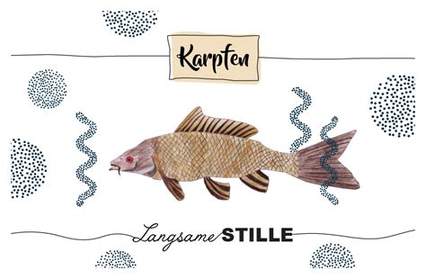 Krafttier Karpfen Langsame Stille Kathrin Sieder