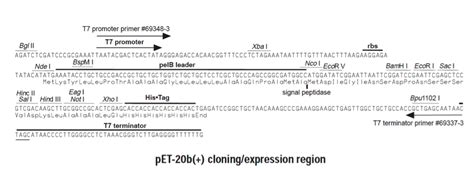 Pet 20b 北京华越洋生物