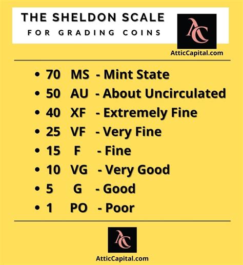 The Ultimate Rare Coin Collector Guide For 2025