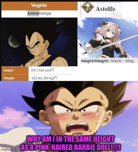 Vegeta And Astolfo Has Same Height By Magicalkeypizzadan On Deviantart