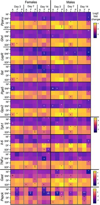 Time Restricted Feeding Leads To Sex And Organ Specific Responses In The Murine Digestive