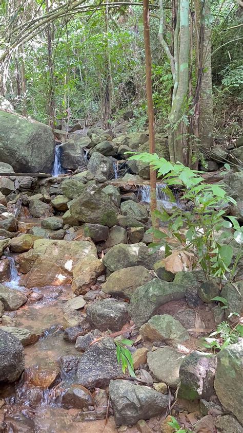 Suan Lung Rong Restaurant Karon Restaurant Reviews Photos And Phone Number Tripadvisor