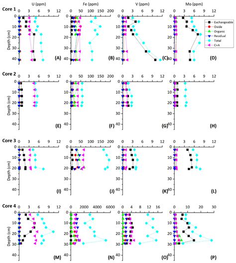 Syndepositional Uptake Of Uranium Molybdenum And Vanadium Into Modern