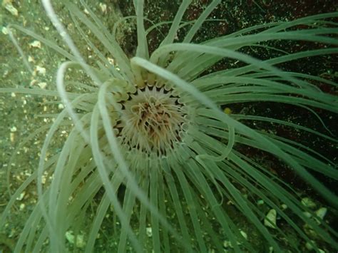 Photos Kathleen Macgregor