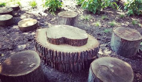 Twig Landscape Design Micheletwig • Instagram Photos And Videos