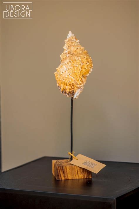 Sea Shell Lamp Ubora Design