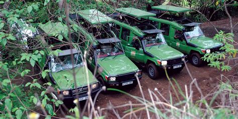 Sunny Safaris Tanzania Safari Specialists For Over 30 Years