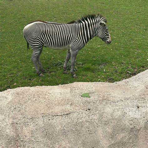 Tabitha Baker Youtube