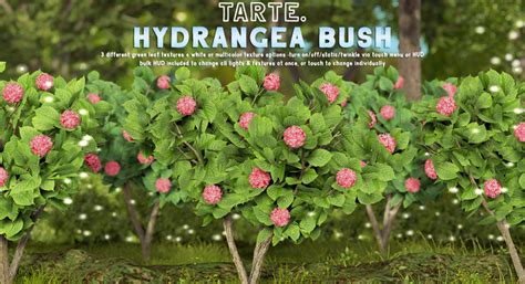 Second Life Marketplace Tarte Hydrangea Bush Red