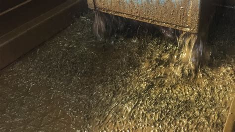 Dewatering For Solids Control Solutions