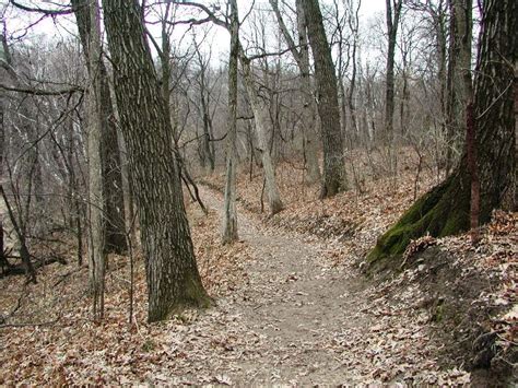 Projects Trail Design