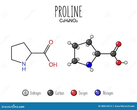 Proline Amino Acid Representation Stock Vector Illustration Of
