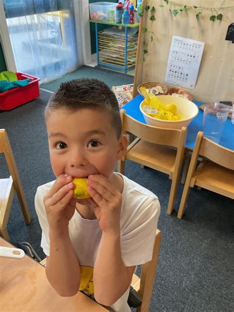 Bubwith Community Primary School Home Page