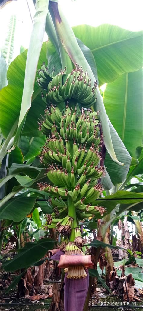 Ongun Ulku Linkedin‘de Yeni Doğumlar