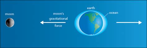 Tide Formation—gravitational Pull Exploringourfluidearth