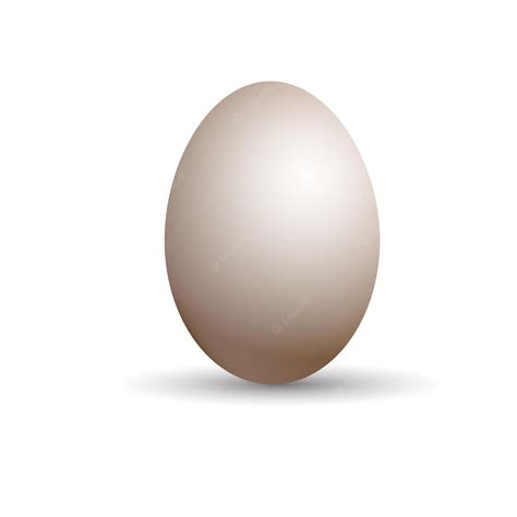 Premium Vector Fried Egg Vector Illustration