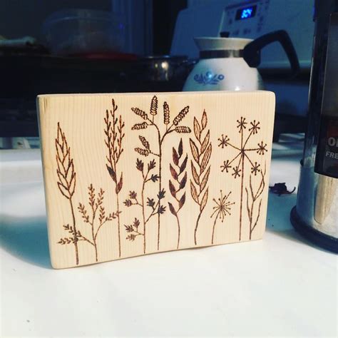 Pyrography Wood Burned Grasses And Seeds By Christine Davies