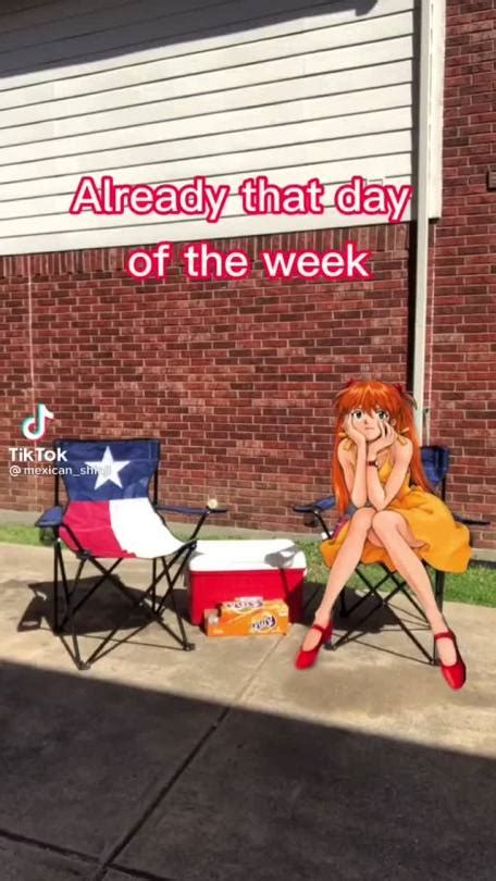 Ya Saben Que Día Es Perros Tumbex