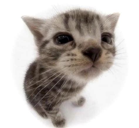 Does Anyone Know Where I Can Find More Images Like This Rhardimages