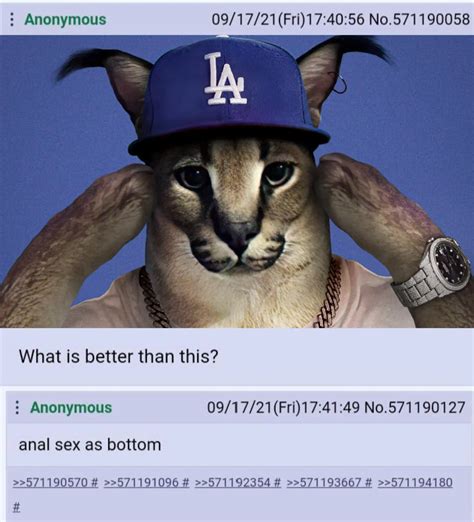 What Is Better Than Floppa Scrolller