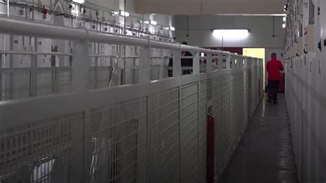 Chemical Castration Of Sex Offenders To Be Piloted In 20 Prisons Says Mahmood