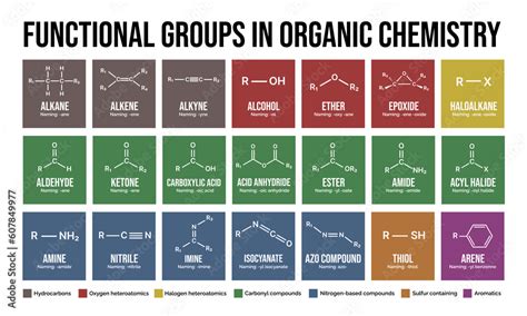 Functional Groups In Organic Chemistry Vector Editable Poszter Vagy